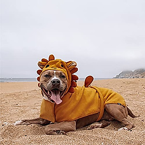 Barkbox - Premium Absorbent Hooded Dog Bathrobe Towel Bundle - Quick Drying Pet Towel for Bath & Beach Trips - Luxurious & Soft Bathrobe Towel for Dogs of All Breeds - Lion & Rhino - Small