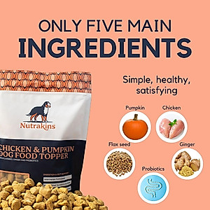 Nutrakins Pumpkin Topper for Dogs - Freeze Dried Dog Treats & Toppers, Raw Flavor Mixers for Meals, Healthy for Picky Eaters, Natural Real Chicken & Wholesome Protein Add Ins, Digestive Health