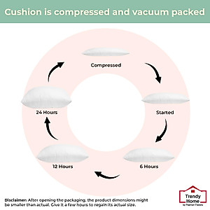 Trendy Home 12x20 Throw Pillow Insert, Cushion Sham Stuffer Hypoallergenic, Lumbar Support Decorative Home Outdoor Couch Bed Pillow Filler (Non Woven)