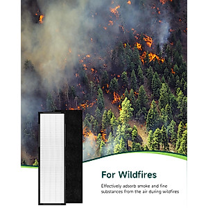 2-Pack FLT4825 Filter B Replacement Compatible with AC4825E, AC4850PT, AC4900, AC4300, H13 True HEPA Filter with Pet Pure Treatment, Replace Model FLT4825&FLT4850PT