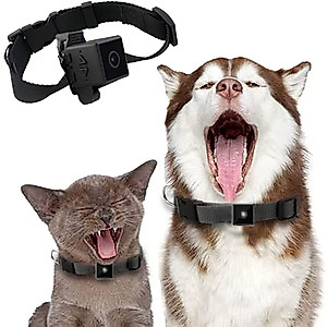 Mini Spy Camera Wireless Hidden Camera Portable Small Camera with Motion Detection and Night Vision Nanny Cam no WiFi Security Camera Pet Camera for Cat/Cop cam