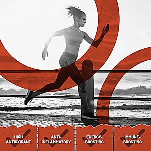 Golden Nest Cold Brew Mushroom Coffee | Ready to Drink Cold Brew Coffee with Organic Chaga & Cordyceps Mushroom | All Natural No Preservatives Dairy-Free | 8 Fl Oz Can (Black Unsweetened, 8 FL Oz (Pack of 6))