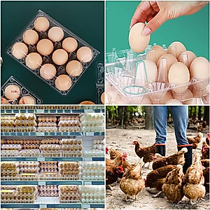 Plastic Egg Cartons Bulk, 48 Packs Empty Clear Plastic Egg Carton Holds Up to 12 Eggs, Reusable Chicken Egg Tray Holders for Family Pasture Chicken Farm, Business Market Display,