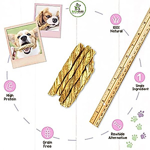 Nature Gnaws Tripe Twists for Dogs - Premium Natural Beef Sticks - Simple Single Ingredient Crunchy Dog Chew Treats - Rawhide Free 10 Count (Pack of 1)