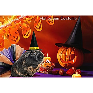 CooShou 3Pcs Guinea Pig Halloween Costume Small Animals Witch Hat Halloween Bandana Triangle Scarf for Guinea Pig Chinchilla