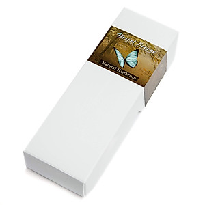 Desert Breeze Natural Wood Bristle Hair Brush, Gentle Scalp Massage, Pear Wood Handle, Made in Germany, For All Hair Types, Rounded Wooden Pins, Anti-Static