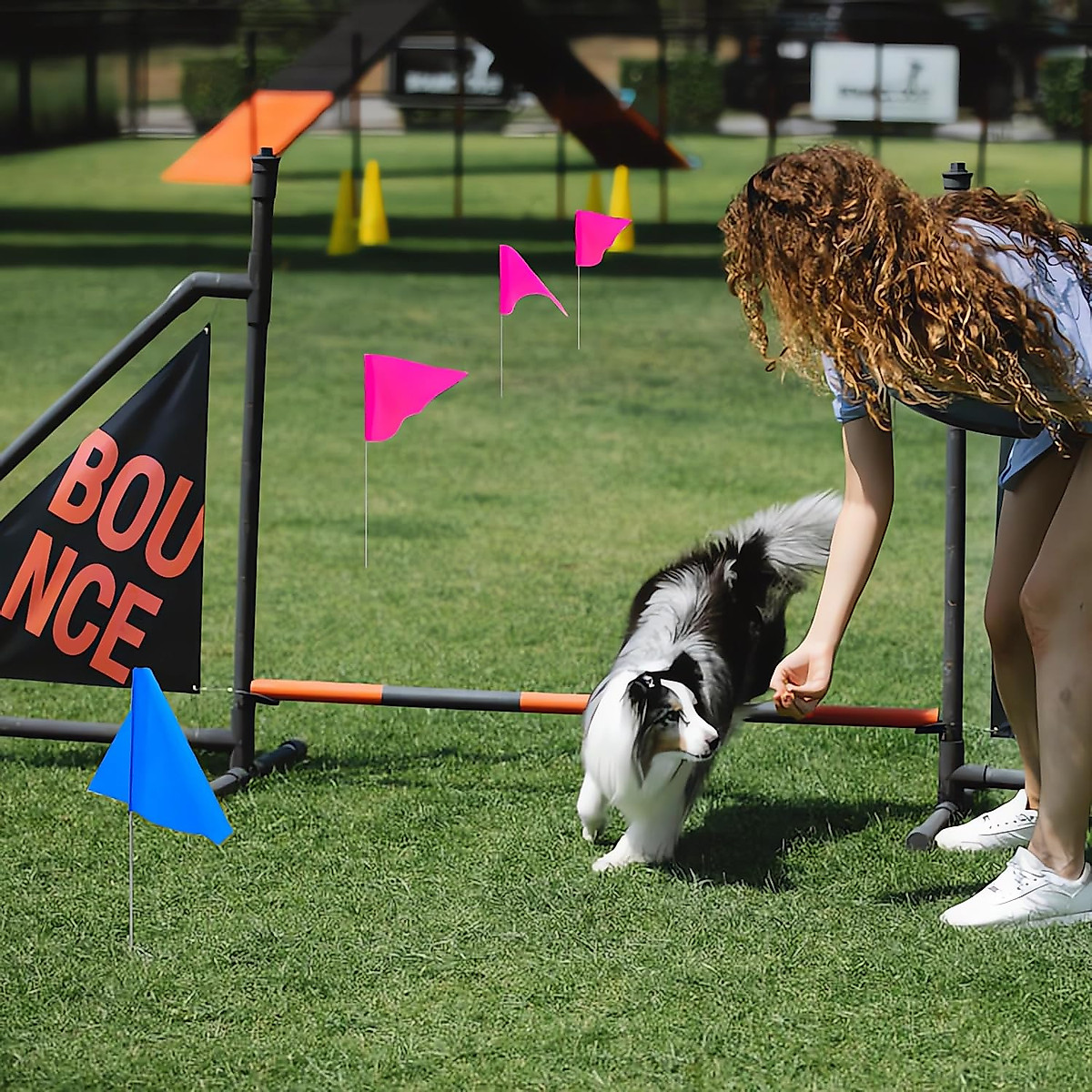 Purple Marking Flags, 100 Pack Marker Flags | 4x5x16 Inch, Boundary Flags Dog Training, Invisible Fence, Yard/Lawn/Survey /Landscape/Sprinkler Flags