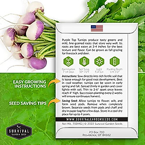 Survival Garden Seeds - Purple Top Turnip Seed for Planting - Packet with Instructions to Plant and Grow Delicious Greens & Root Vegetables in Your Home Vegetable Garden - Non-GMO Heirloom Variety