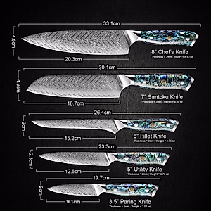 SENKEN Damascus Steel Kitchen Knife Set - Umi Collection - 67-Layer Japanese VG10 Steel, Real Deep-Sea Abalone Shell Handle, Chef's Knife, Santoku, Paring, Fillet, Utility (5-Piece Damascus Knife Set)