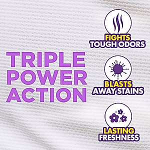 Arm & Hammer Plus OxiClean Odor Blasters Fresh Botanical, 77 Loads Liquid Laundry Detergent, 100.5 Fl oz