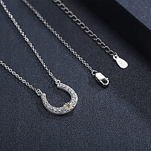 MEDWISE Lucky Horseshoe Necklace Gifts for Cowgirls Women Sterling Silver Horseshoe Daisy Necklace for Horse Lover Jewelry Birthday Christmas