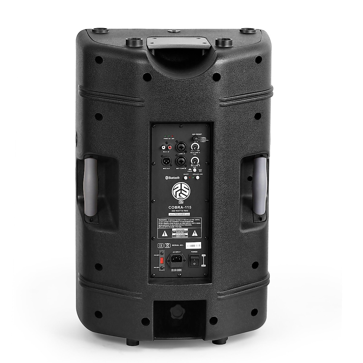 PSG AUDIO Cobra 115 Professional Active Speaker 2000 Watts with Bluetooth PA Speaker, 2-Channel Mixer with DSP Control, Ideal for Musicians, Churches, DJs. (Designed in USA) Support US Business