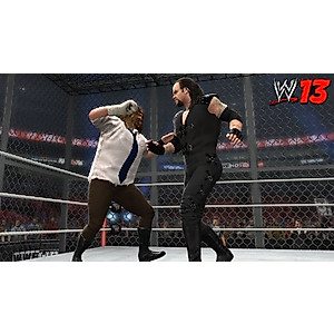 WWE '13