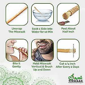 TISWAAK - Pack of 12 Miswak Stick Natural Teeth Whitening Kit – Muslim Natural Flavored Herbal Toothbrush Miswak Sticks Vacuum Sealed with Holder for Healthy Gums, Teeth & Fresher Breath || Pack of 12