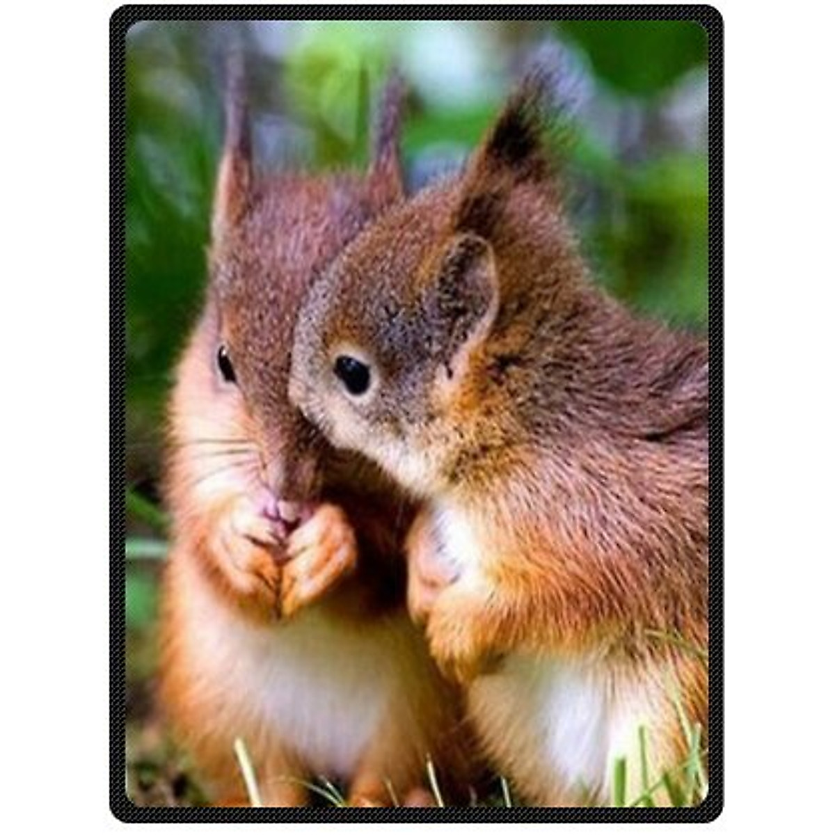 Cute Squirrel Design Throw Blanket Fleece 58" x 80" (Large)