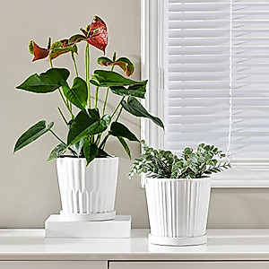 Ton Sin Plant Pots,White 6 Inch Flower Pots for Plants,Ceramic Planter with Drainage Holes,Indoor Planter Pots with Saucer,Outdoor Garden Pots (White, 4 Pack)