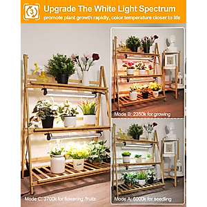 DOMMIA Plant Light for Indoor Plants, Full Spectrum Grow Lights for Indoor Plants, Brightness Led Grow Lights for House Plants, Plant Growing Lamps for Indoor Growing