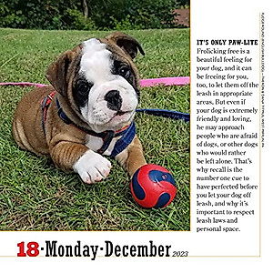 365 Dogs Page-A-Day Calendar 2023: The World's Favorite Dog Calendar