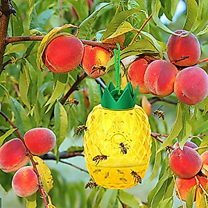 Wasp Trap 2 Pack, Trap Yellow Jacket, Hornets Naturally