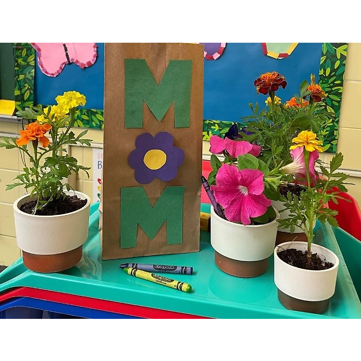 The HC Companies 2.5 Inch Sprite Mini Succulent Pot - Small Plastic Planter with Drainage for Indoor Plants, Crafts, Wedding Favors, Vanilla Bisque (20 Pack)