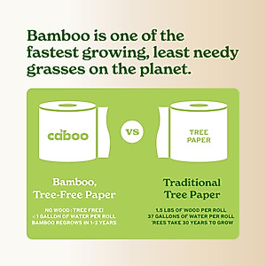 Caboo Tree Free Bamboo Paper Napkins, 4 Packs of 250, 1000 Total Napkins, Eco Friendly, Sustainable, and Disposable Kitchen Napkins
