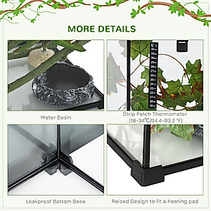 PawHut 14 Gallon Glass Reptile Enclosure with Decor Kit, Crested Gecko Tank, Full View Terrarium Tank with Visually Appealing Sliding Screen Top for Lizards, Frogs, Snakes, Spiders, 20" x 12" x 14"
