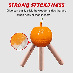 osseph Fruit Fly Traps Ball Sticky Traps Ball, 6 PCS Gnat Traps Flying Insects Traps Ball for Indoor Outdoor House Kitchen Plants Trees Flying Insects (6PCS, Yellow)