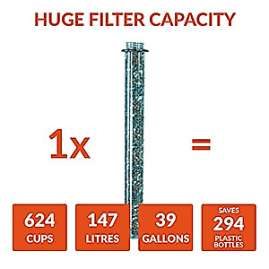 Invigorated Water Alkaline Water Filter Bottle With Carry Case - Enhanced Hydration - Integrated Water Filtration System - Portable Alkaline Water Bottle - PH Water Bottle Alkaline - 25oz-750ml (Aqua)