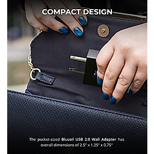 Blucoil USB Universal Wall Charger with 5V 1000mA Output Power, USB 2.0 Port, Over Current Protection for Portable Headphone and Amplifiers, Other Electronic Devices (Model No. KA25-0501000US)