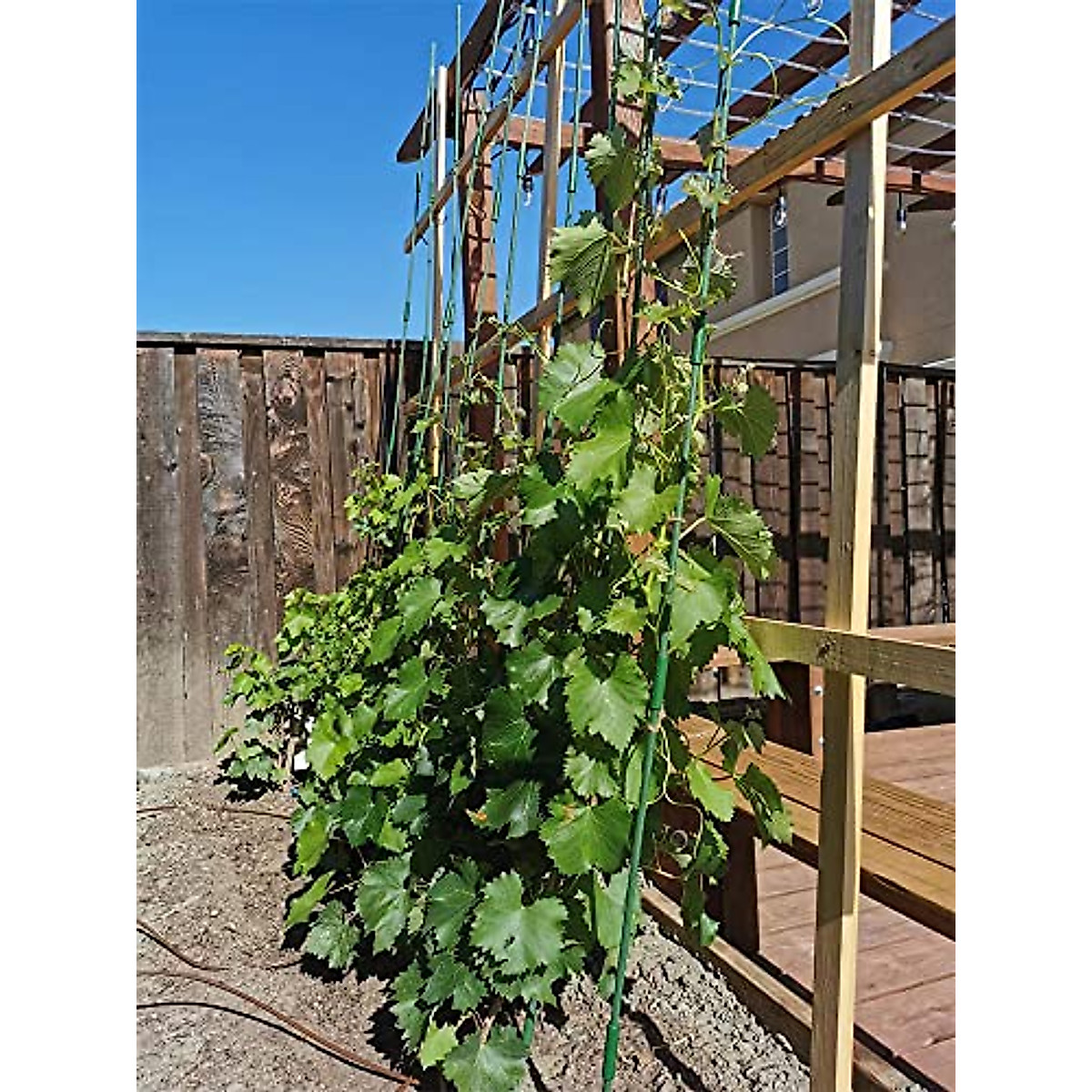 Garden Stakes,Connectable Plant Support Stakes,BOVITRO 40Pcs Steel Plant Stakes with 20 Connectors[17 Inches Each-Adjust Length Freely]