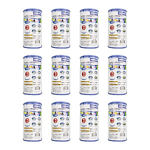 Intex Filter Cartridge Type A (59900E) - Replacement Type A and C For Easy Set Pool Filters - 12 Pack