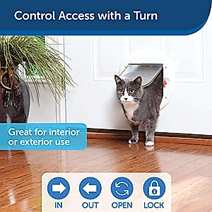 PetSafe Exterior / Interior Cat Door: Staywell Big Cat 4-Way Locking Pet Door Flap for Large Cats - Tinted Privacy Door - Weatherproof, Durable Door Frame - DIY Easy Install with Hardware Kit Included