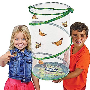 Insect Lore Butterfly Pavilion Habitat | 2 Foot Tall Clear Mesh | Pops Up Folds Flat | Zipper Top | for All Insects