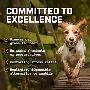 Wild Wolf 12-inch Angus Bully Sticks (8 Ounces) Healthy, All-Natural, Long-Lasting Dog Chew Bones - Natural Scent Dogs Love - Mixed Thickness