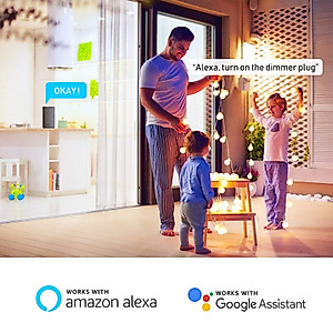 Aoycocr Smart Dimmer Plug 2 Sockets, Outdoor Smart Outlet Work with Alexa Google Home Light Dimmer APP Remote Control Max Power 400W IP55 Waterproof for Dimmable Outdoor Lights Floor Lamp Table Lamp