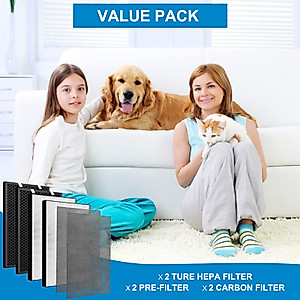 2 Sets Air220 Air320 Filter Replacement Compatible with Bissell Air320 Air220 2768A 2609A Air Purifier, Include True HEPA Filter + Pre Filter & Activated Carbon Filter, Compare Part # 2677,2678,2804