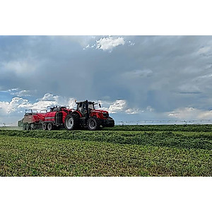 Bunny Honey Bulk Fresh Alfalfa Hay 80oz USDA Organic Alfalfa Hay for Chinchillas - Best Cut & Delivered Fresh - Promotes Healthy Digestive Function - 5 Pound