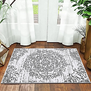 HEBE Washable Area Rug 2'x3' Non Slip Soft Distressed Medallion Bedroom Rug Boho Living Room Rug Accent Throw Rugs Vintage Entry Rug Floor Carpet for Dining Room Bathroom Entryway