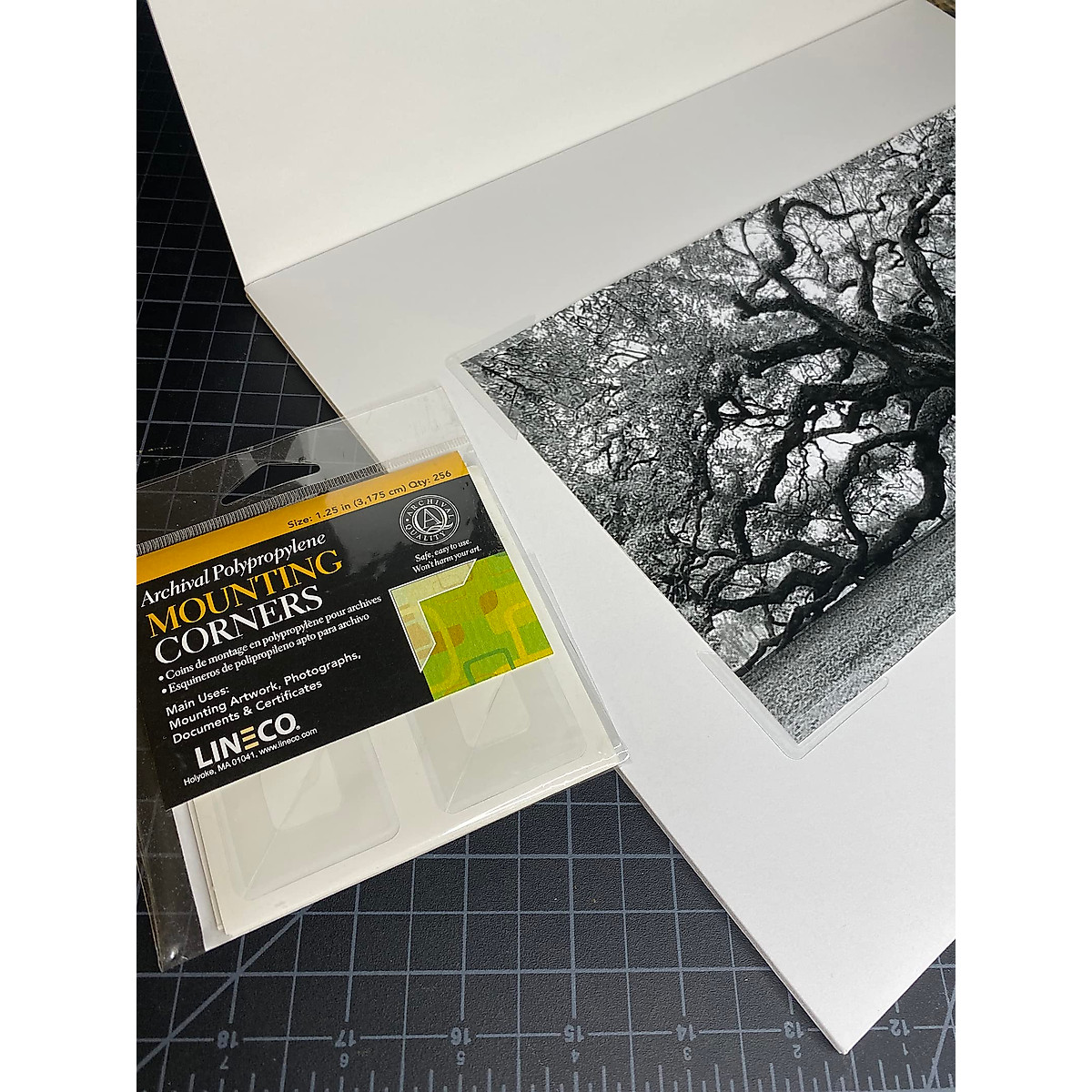 Lineco Archival Polypropylene Mounting Corners, Self Adhesive Clear Photo Corners, Acid-Free, 1.25 Inches, Mounting Artwork, Photographs, Documents.