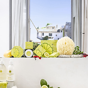 Provence Sante Eau de Toilette Spray - Luxury Long-Lasting Fragrance - Bergamot Scent - Elegant Perfume Gift - Made in France - 3.5 Oz