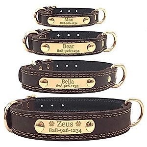 Personalized Dog Collar - Engraved Vegan Soft Leather - Custom Small Medium or Large Size with Name Plate (Large, Brown)