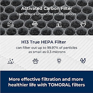 [Upgraded] C545 Replacement Filter S compatible with Winix C545 Air Purifier, 2 True HEPA/Activated Carbon Combo Filters + 4 Carbon Pre-Filter - Part# 1712-0096-00, 2522-0058-00