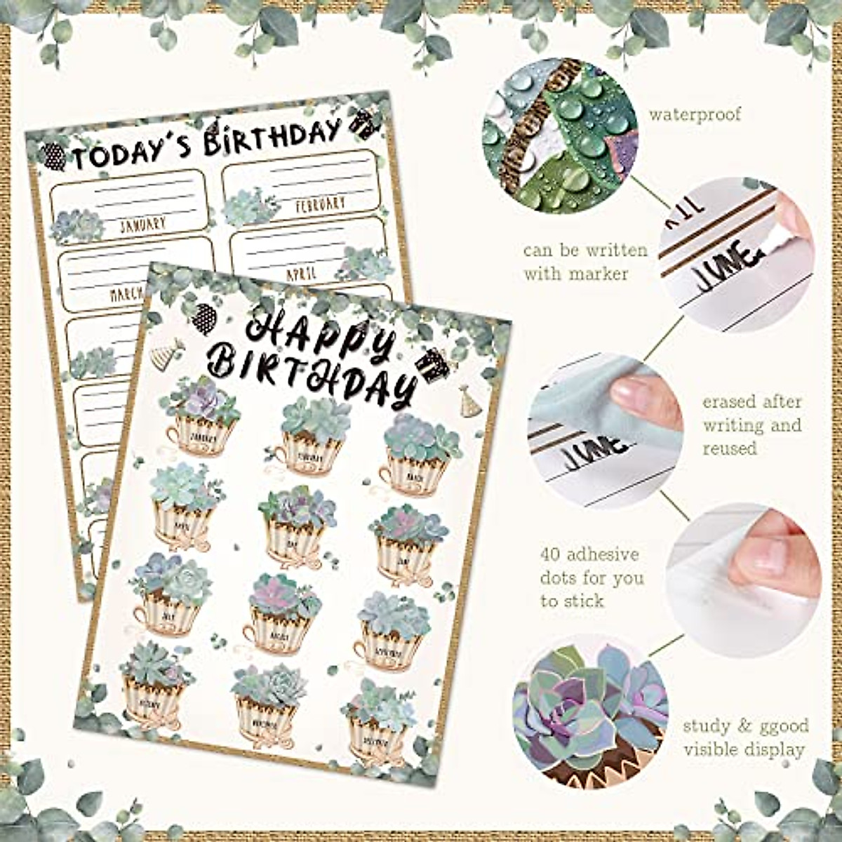 2 Pieces Happy Birthday Poster Chart, Eucalyptus Happy Birthday Bulletin Decorations for Classroom, Birthday Calendar Poster, Succulent Birthday Bulletin Board for Class, School, Office, 17 x 22 inch