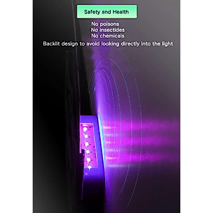 Flying Insect Trap, Fruit Fly Traps for Indoors, Plug in Gnat Traps for House Indoor Safe Non-Toxic UV Light Attractant Insect Traps Indoor with 10 Sticky Pad for Flies, Gnats, Moths, Mosquitoes