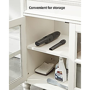 Brigii Crevice Vacuum with BRUSHLESS DC Motor, Mini Vacuum, Cordless Handheld Vacuum Cleaner,Lightweight 0.83lbs, USB-C Rechargeable-MX20