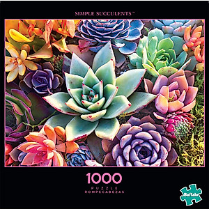 Buffalo Games - James Mertke - Simple Succulent - 1000 Piece Jigsaw Puzzle For Adults - High Quality Challenging Puzzle Perfect for Game Nights - Finished Puzzle Size is 26.75 x 19.75