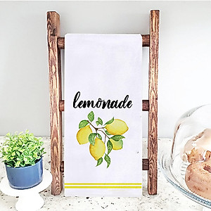 Watercolor Lemon Kitchen Dish Towel 18 x 28 Inch, Seasonal Spring Summer Lemonade Tea Towels Dish Cloth for Cooking Baking Set of 2