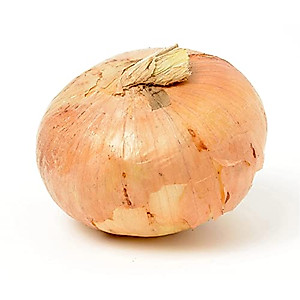 YEGAOL Garden 200Pcs Vidalia Sweet Onion Seeds Non-GMO Organic Cooking Garden Backyard Plant Vegetable Seeds