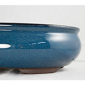 Oval Mame Shohin Bonsai/Cactus & Succulent Pot + Mesh 5"x 4"x 2" - Dark Blue Glazed