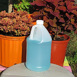 WUWEOT 2 Pack 1 Gallon HDPE Plastic Jugs, Empty Bottle Jug with Child Resistant Airtight Lids for Home and Commercial Use, Water Storage Containers for Water, Soaps, Detergents, Liquids